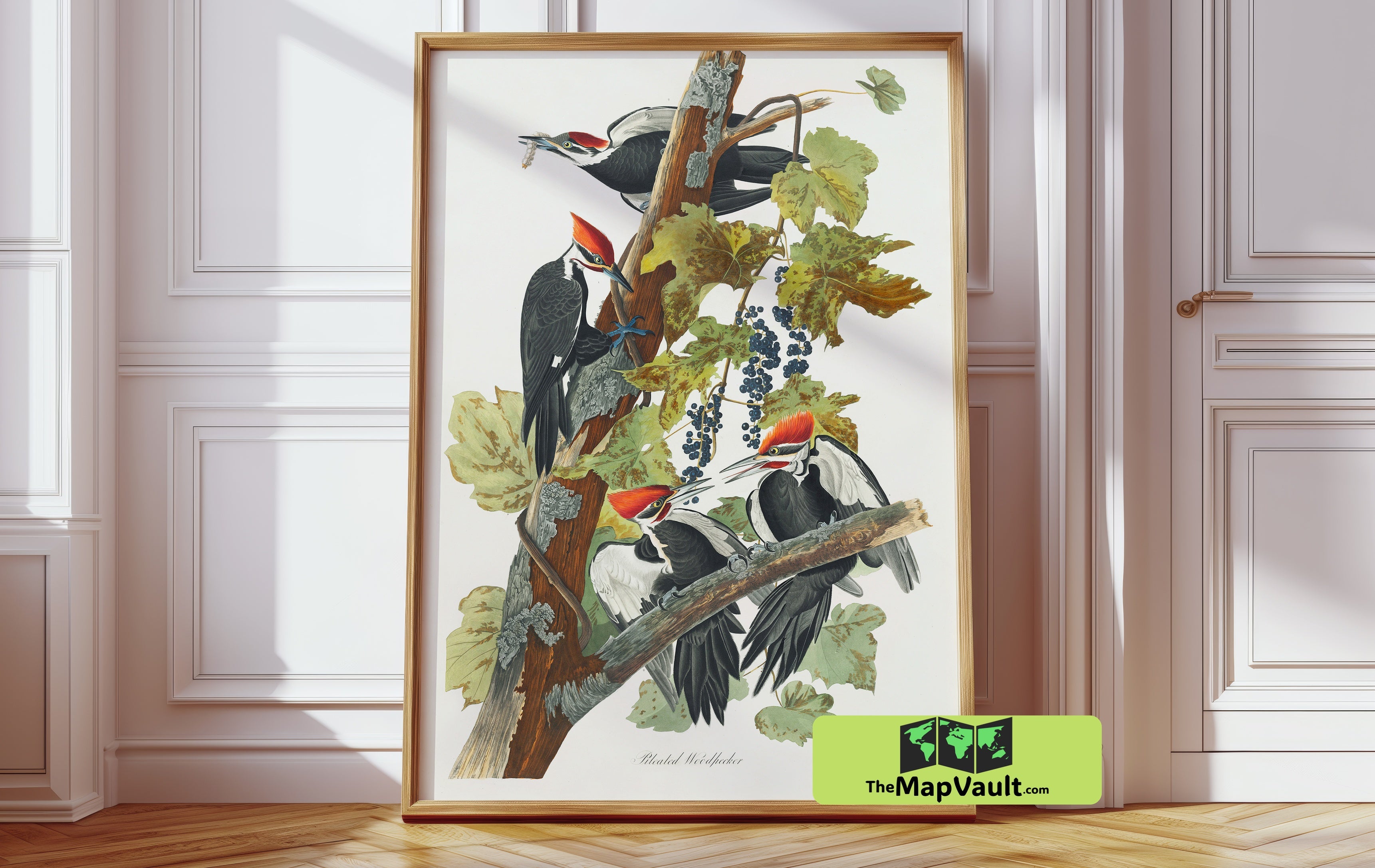 Pileated Woodpecker - Antique Bird Painting - Vintage Naturalist Ornit ...